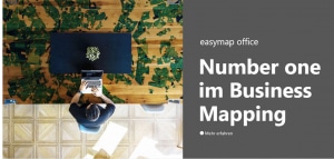 easymap.one - The Future of Business Mapping